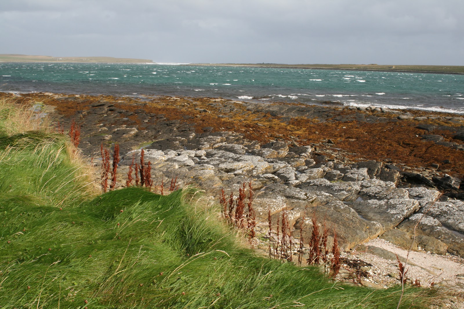 A lifetime of Islands: Island 110 - Papa Westray, Orkney