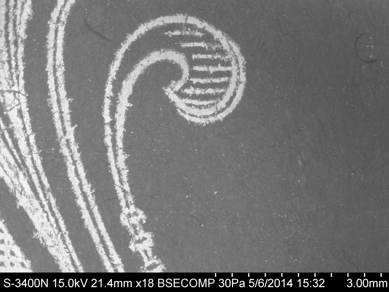 Scanning Electron Microscope Blog: Electron Microscopy and George ...