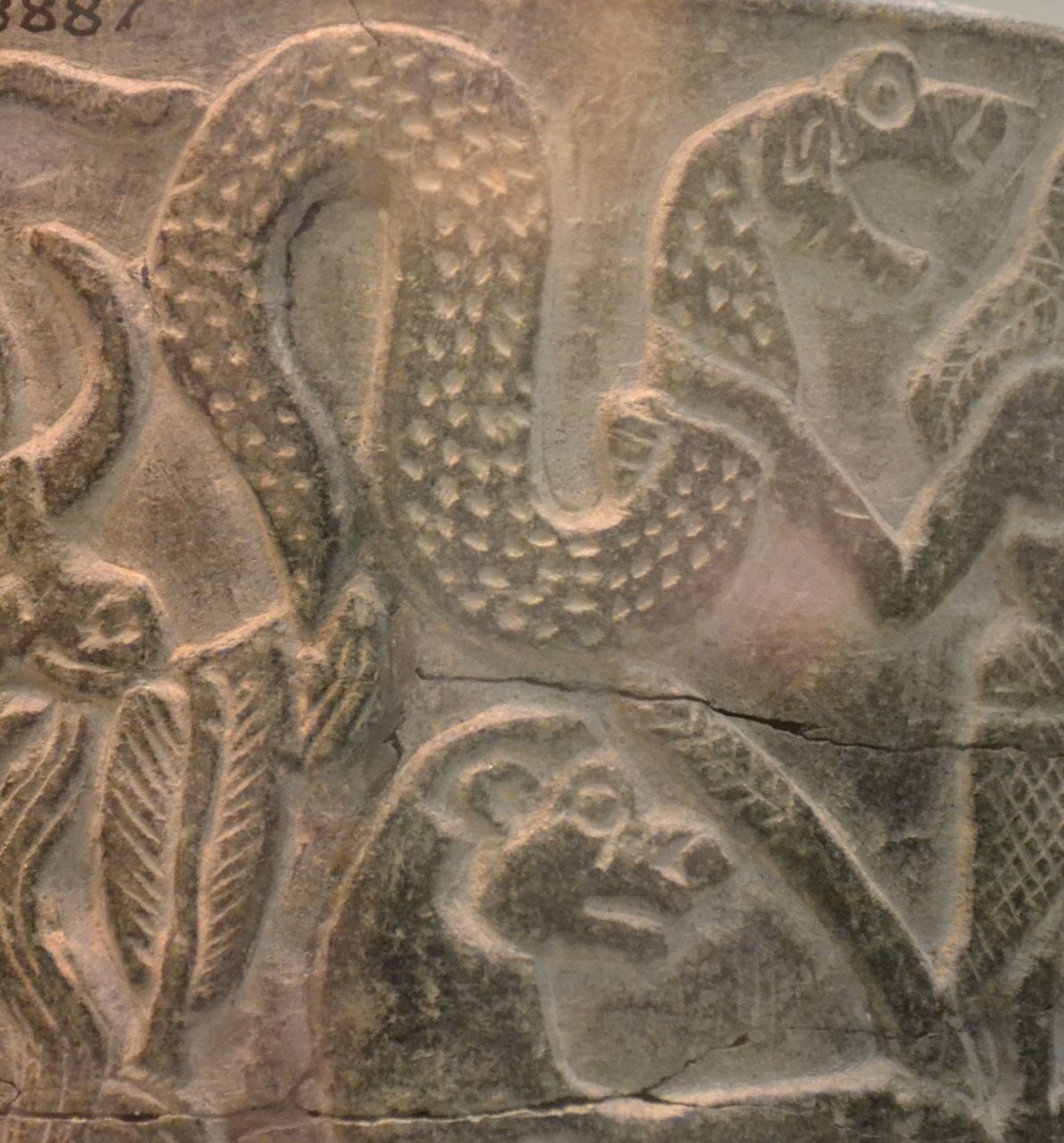 Ginx Craft : Age, Beauty and Snakes