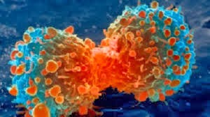 PASANDO PAGINA: ¿¿ que pasa en la muerte de celulas ??? Como se ...