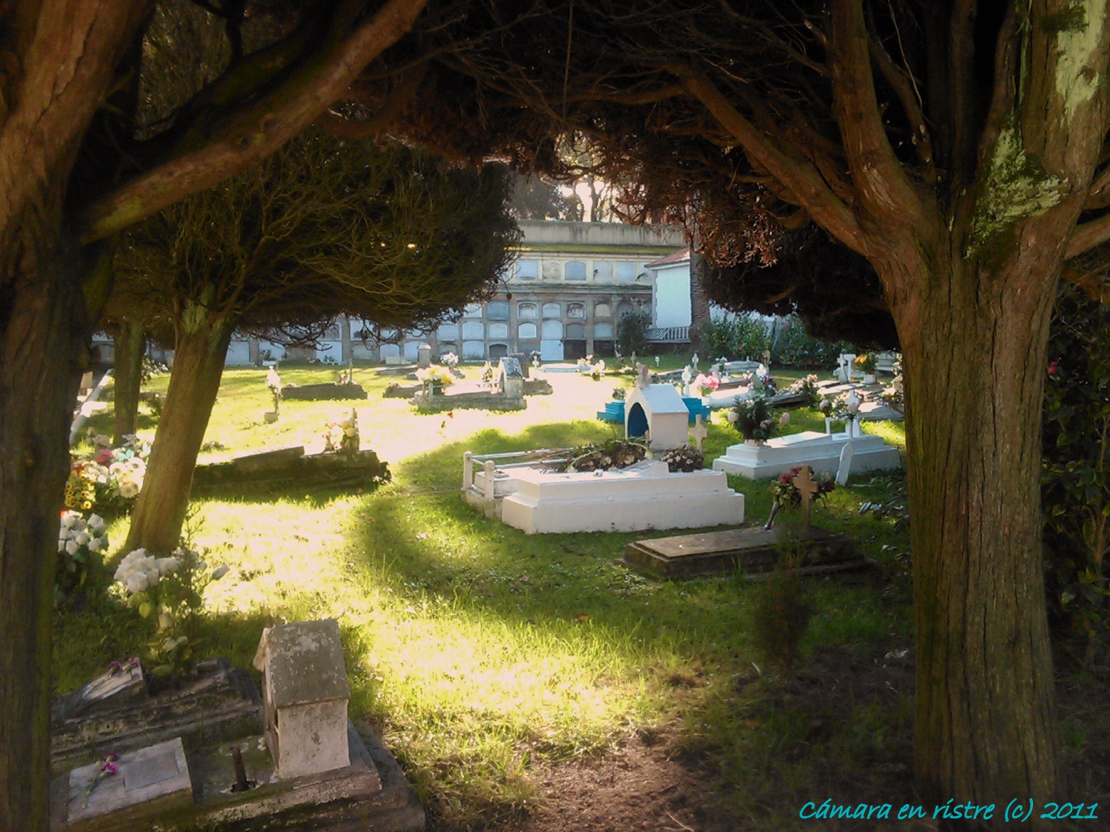 Cámara en ristre: CEMENTERIO DE SAN AMARO (A CORUÑA)