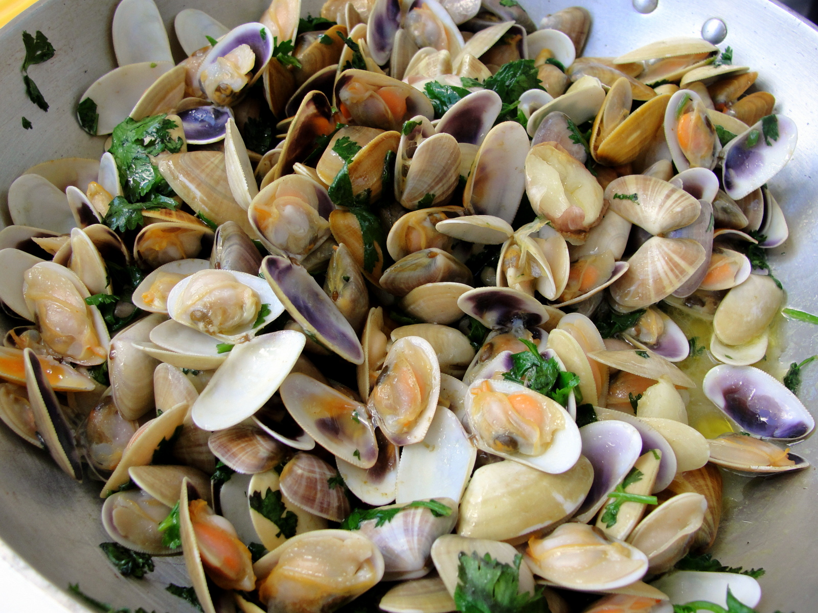 EXPRESSO DA LINHA: AS CONDELIPAS E A GUERRA FANTÁSTICA