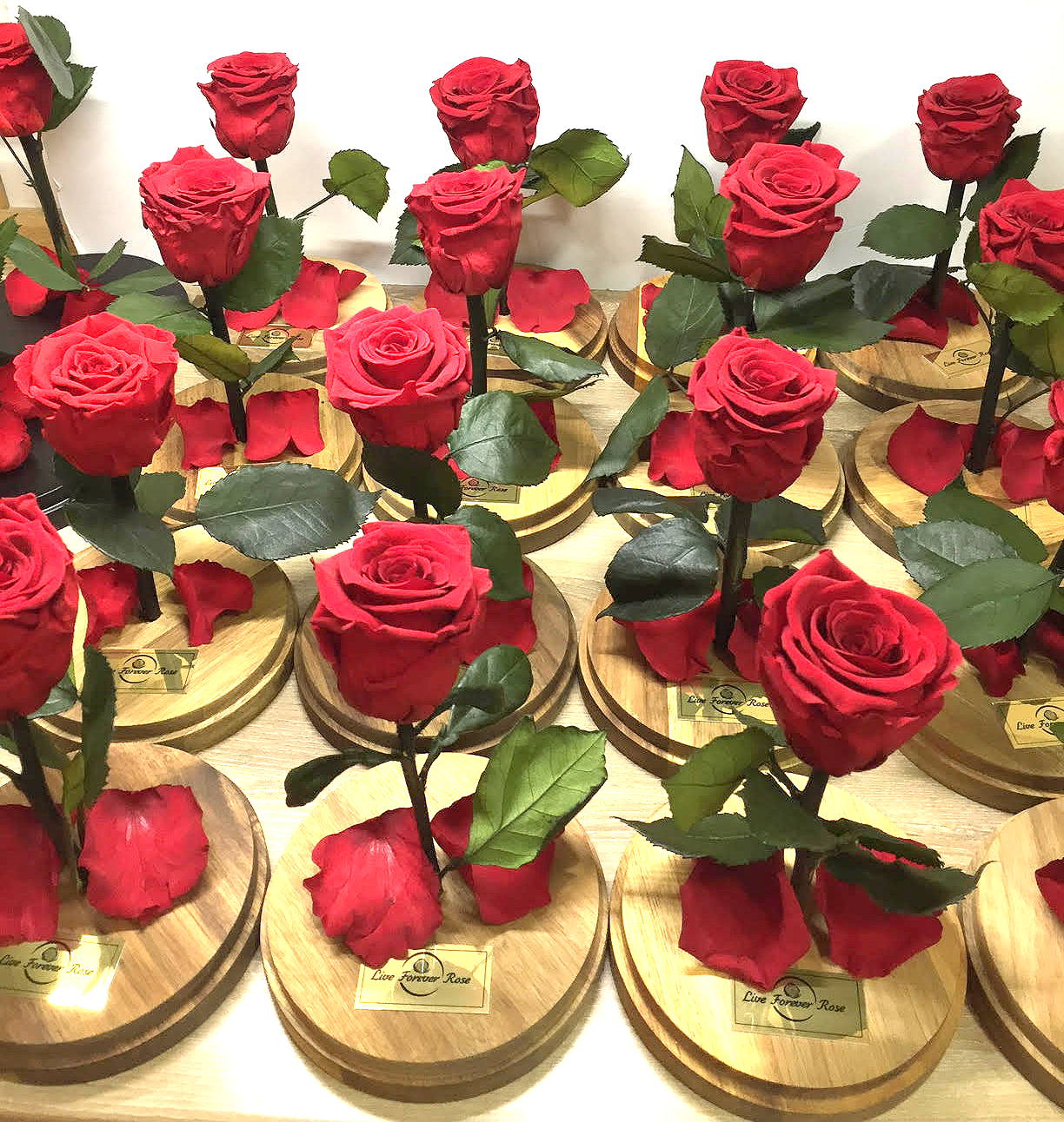 A Green Forever Rose