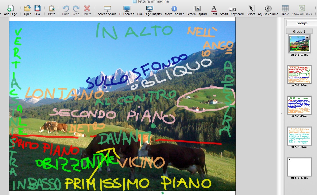 francesca frames...: 2011