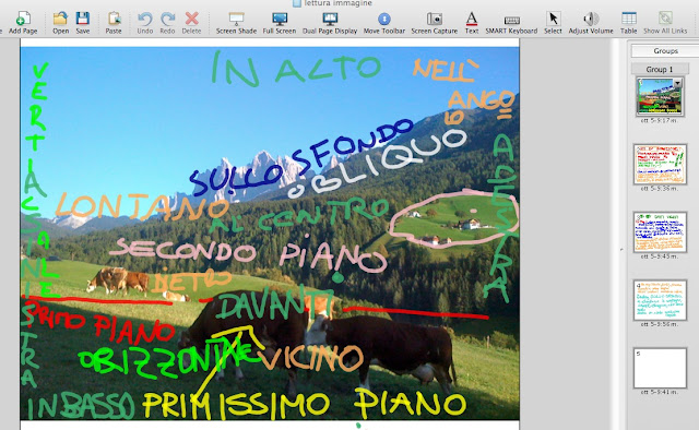 francesca frames...: 2011