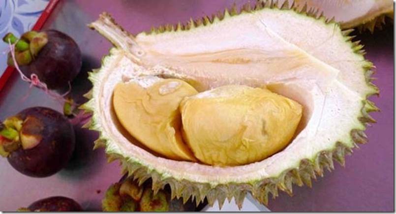 Under The Angsana Tree: Malaysia Best 10 Durians‏