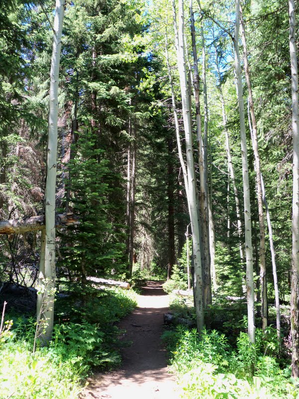 Trail and Park Reviews: Lower Cataract Lake Loop/Creek, North of ...