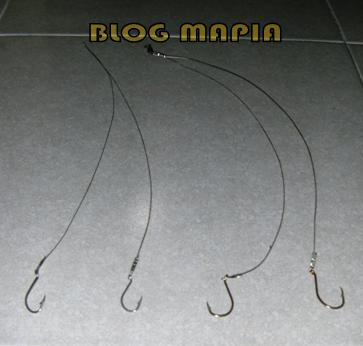 Malaysian Mafia @ Giant Snakehead: Jenis Perambut Toman & Cara ...