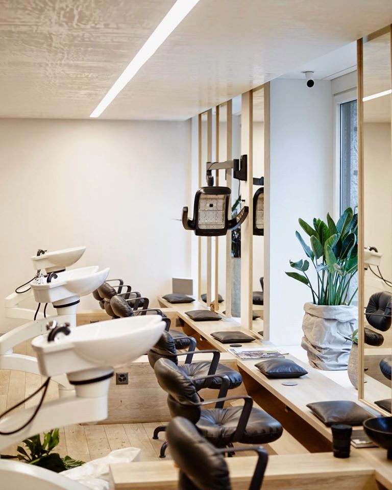 Malyficent Inspired: albert Hair Since 1966 - Lucerne's Finest