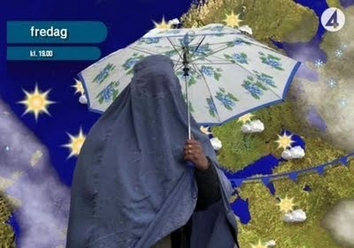 All the Funny Ones ! : Funny Weather Report