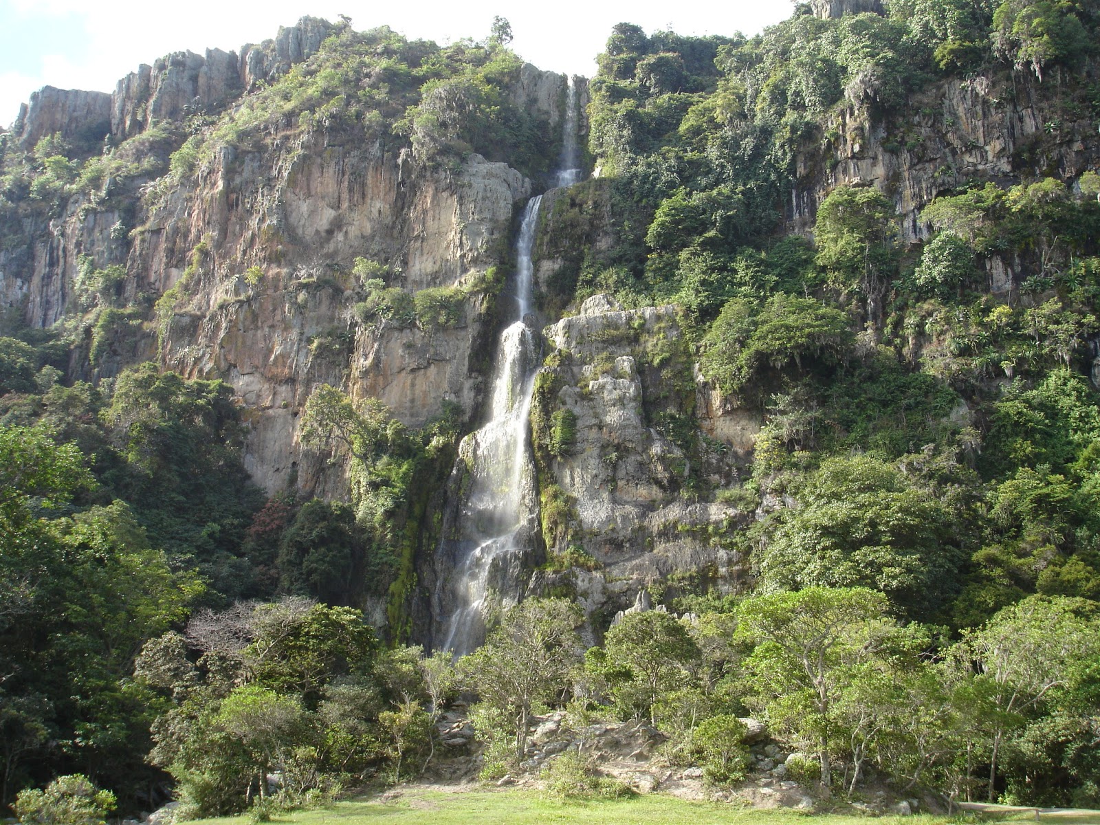 Características De Venezuela: Características de la Región Centro ...