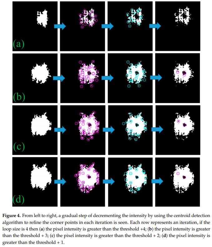 Image Sensors World: Productive Use of Black Sun Effect