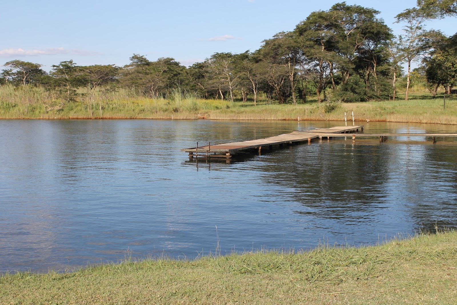 Ndola Is My New Home, MPH