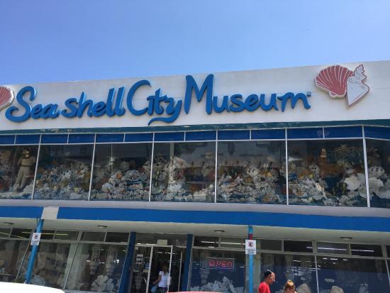 SeaShell Museum: SeaShell Museum Planned for 2017/2018 Season