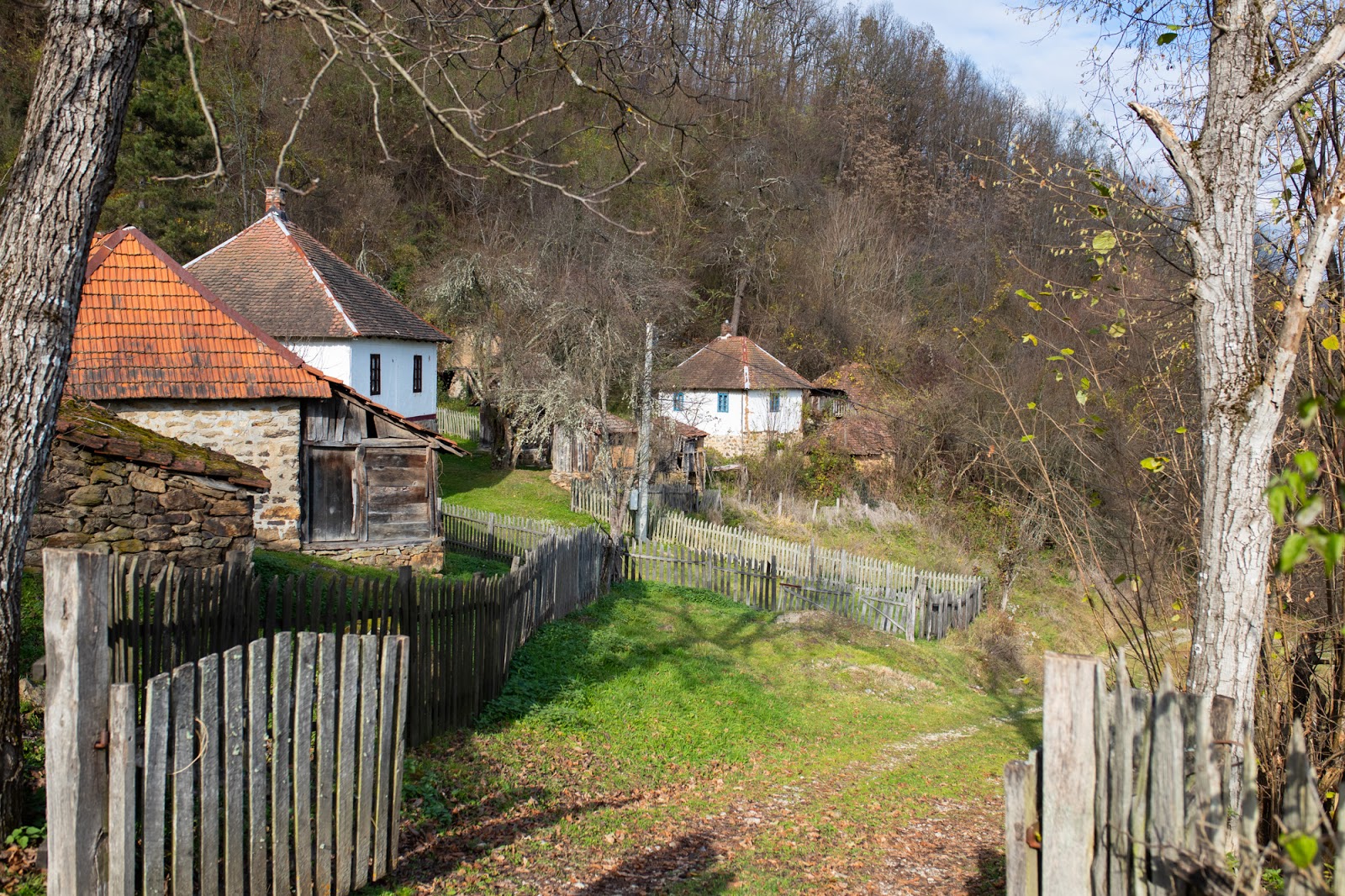 Rakija, uglavnom: Stara sokolova - rakijski putopis