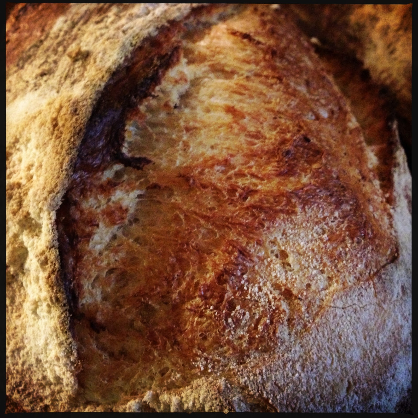 The Vicar Died Laughing: Hedd's Bread