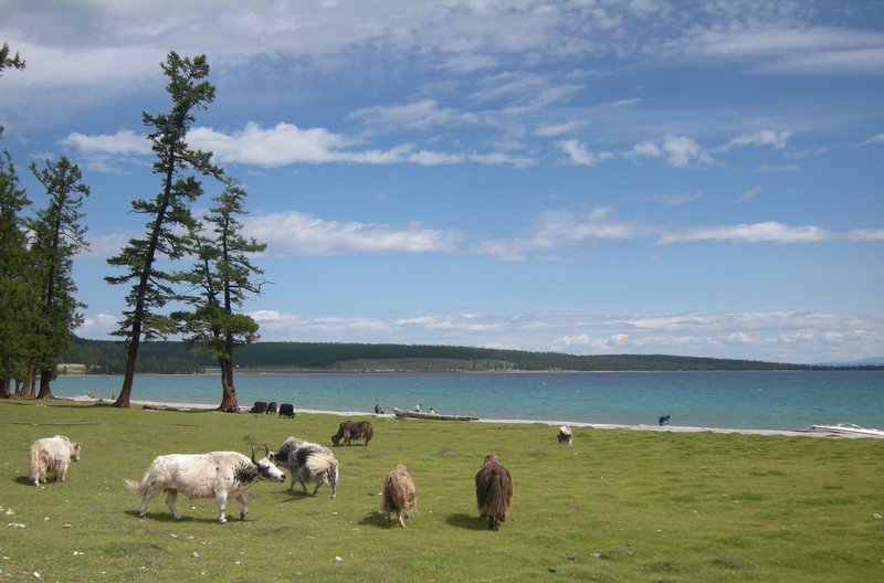 Musings in Mongolia: Trip to Murun