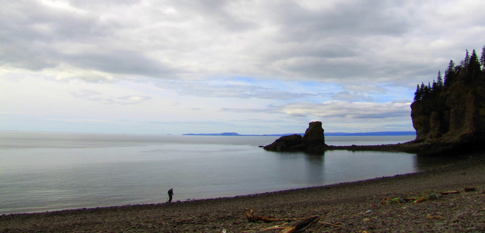 Fundy Rocks Journal: Rockhounding Cape Split, Nova Scotia!