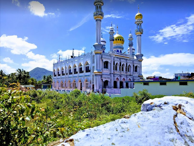 திட்டுவிளை