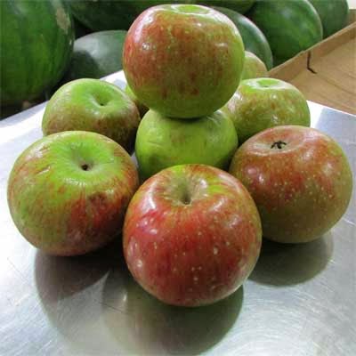 APEL | toko buah online bandung