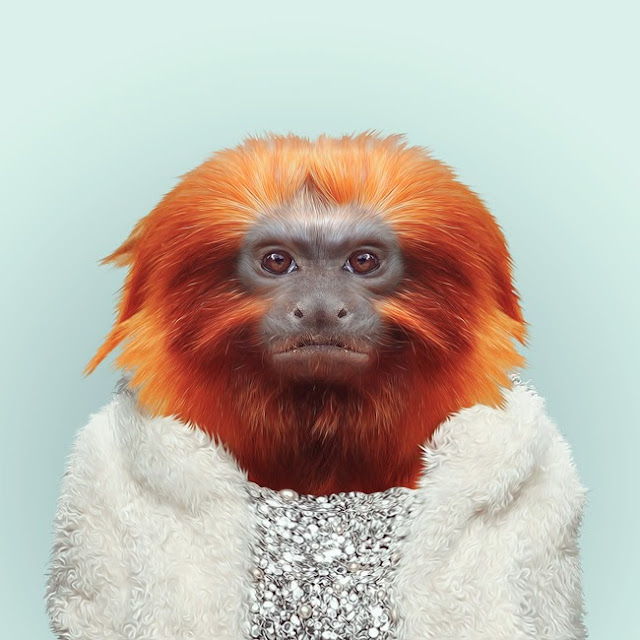 EL ANIMAL INVISIBLE: Zoo Portraits. Yago Partal