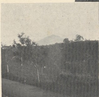 PHOTO KERINCI TAHUN 1930-AN ~ DJAmbi DJAdoel