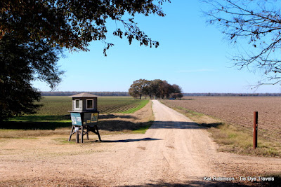 Tie Dye Travels with Kat Robinson - Author, Arkansas Food Historian, TV ...