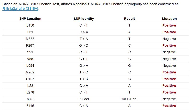 Y Haplogroup R1b1a2a1a1b (S116+): Y Haplogroup R1b1a2a1a1b (S116+)