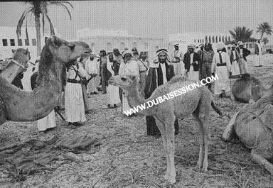 UAE history: United Arab Emirates History