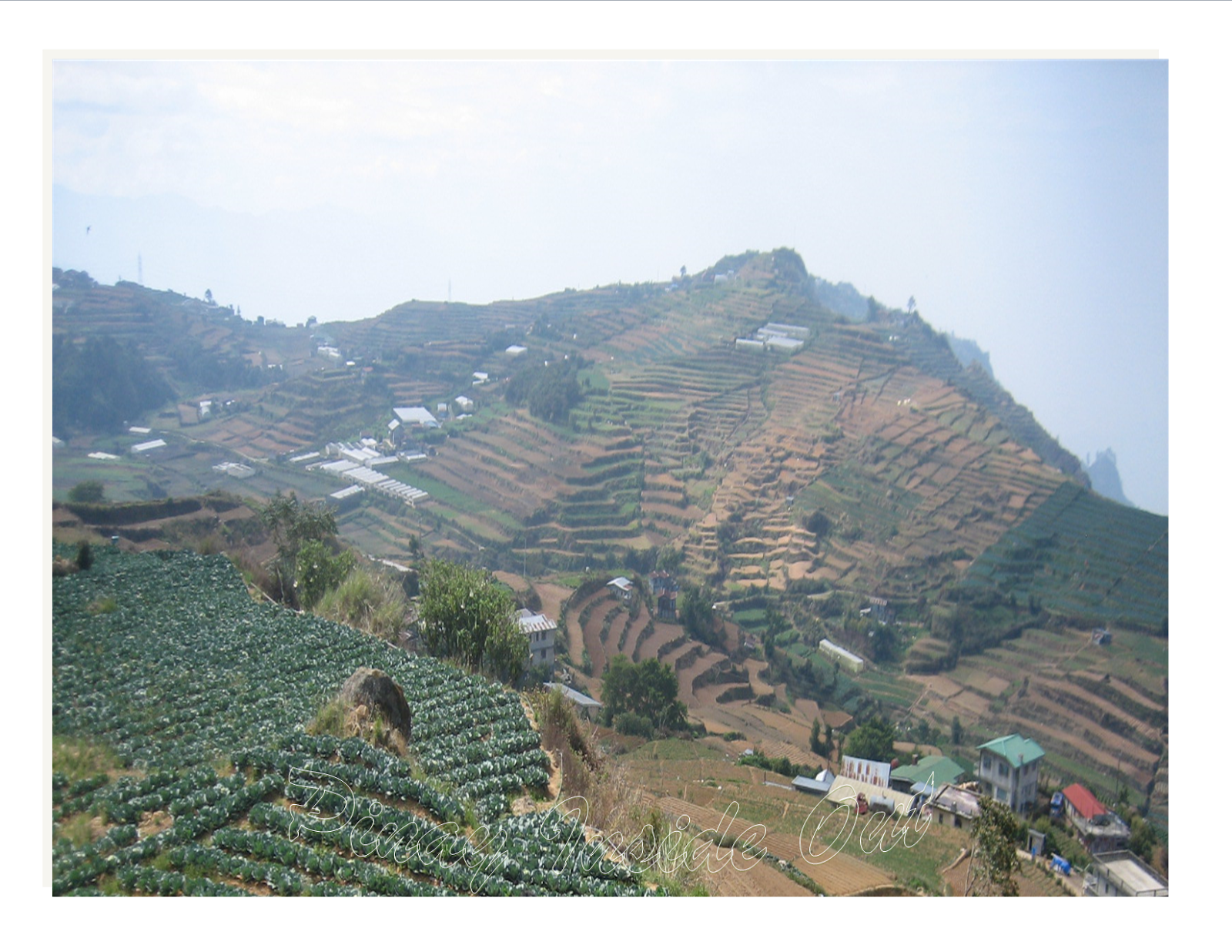 Vegetable Terraces of Benguet