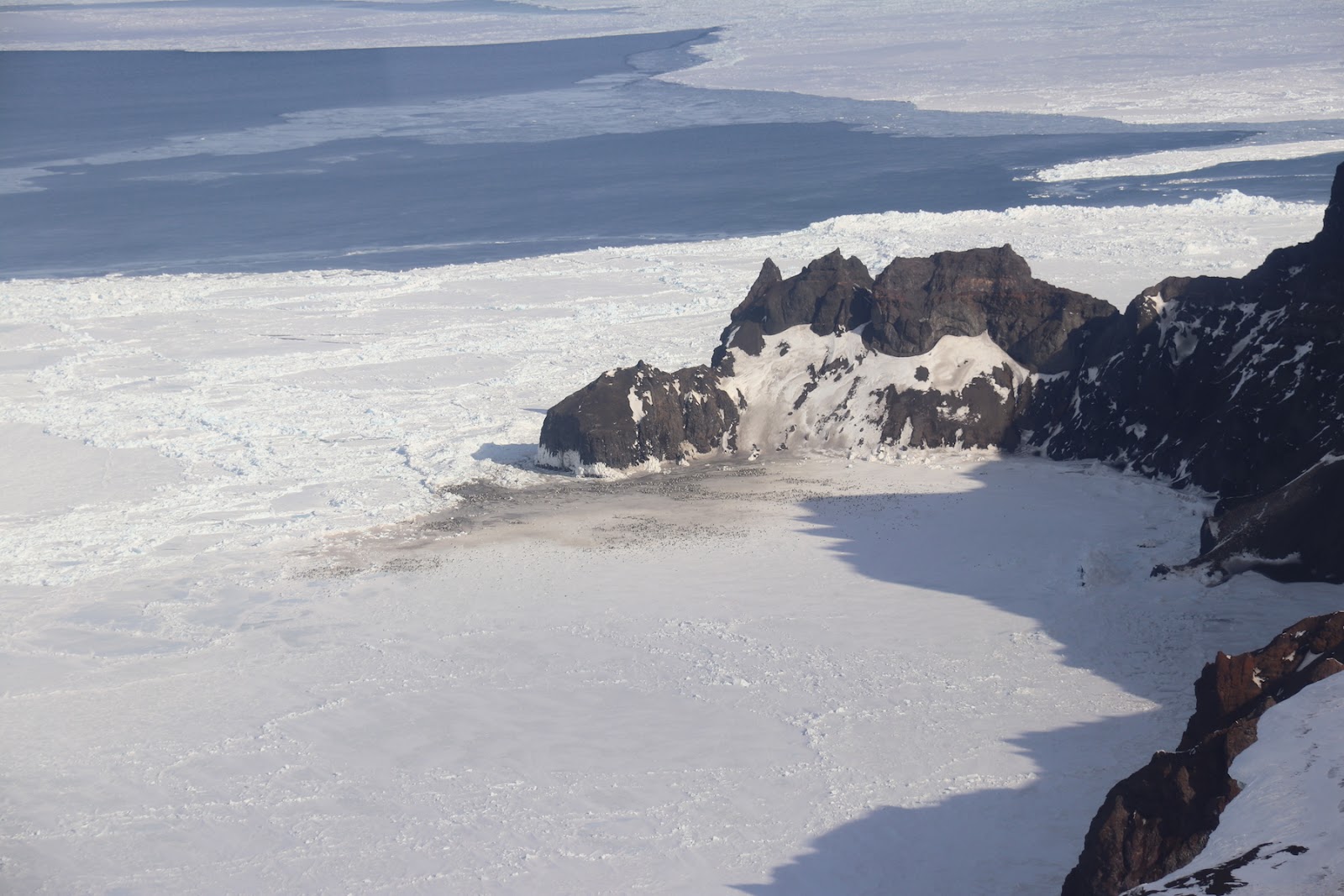 Tracking emperor penguins in the Ross Sea, Antarctica: Basler flight!