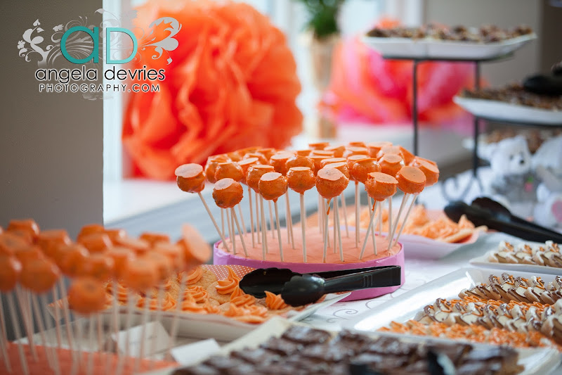 Angela DeVries Photography: The beautiful Jennifer Ancona's wedding ...