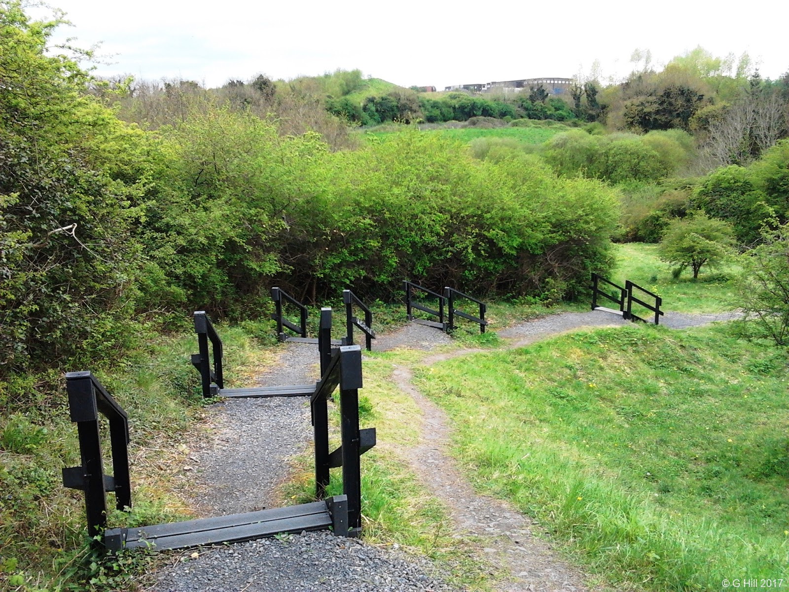 Ireland In Ruins: Leixlip Spa Co Kildare