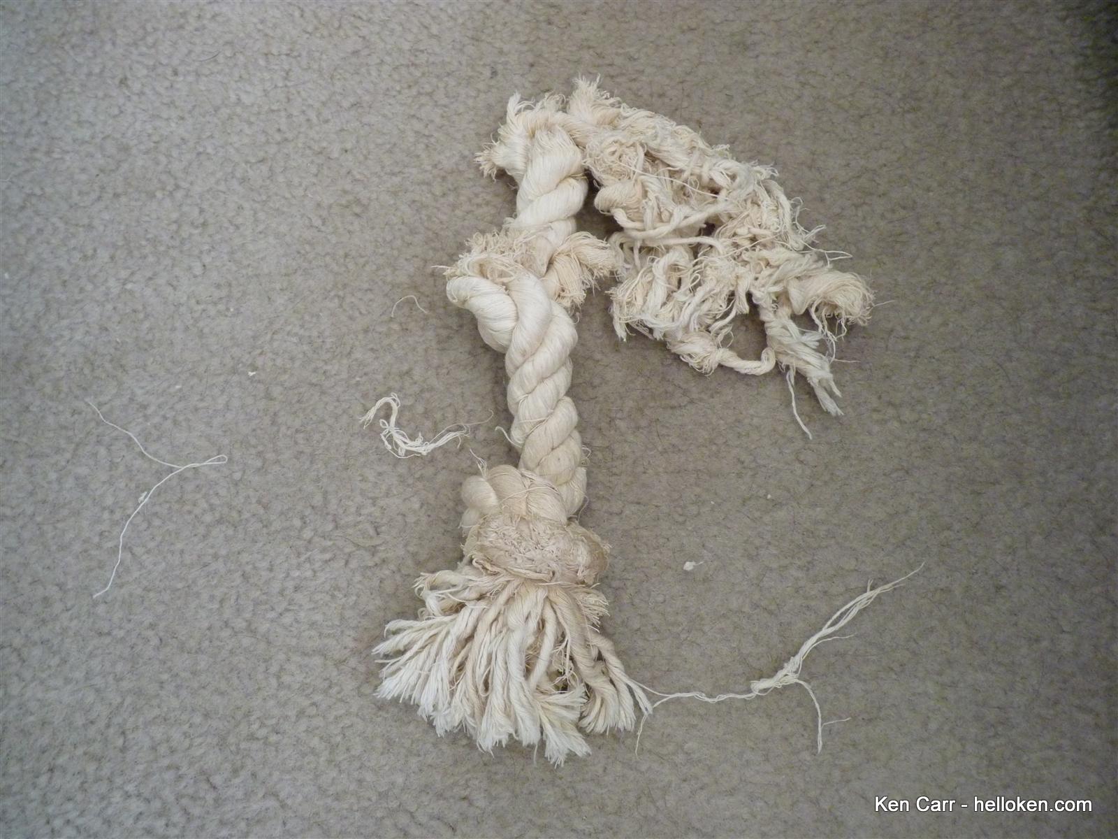 HelloKen.com: Lucky - fit to be untied