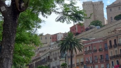 IBLAMA BLOG : 12/01/2013 - 01/01/2014