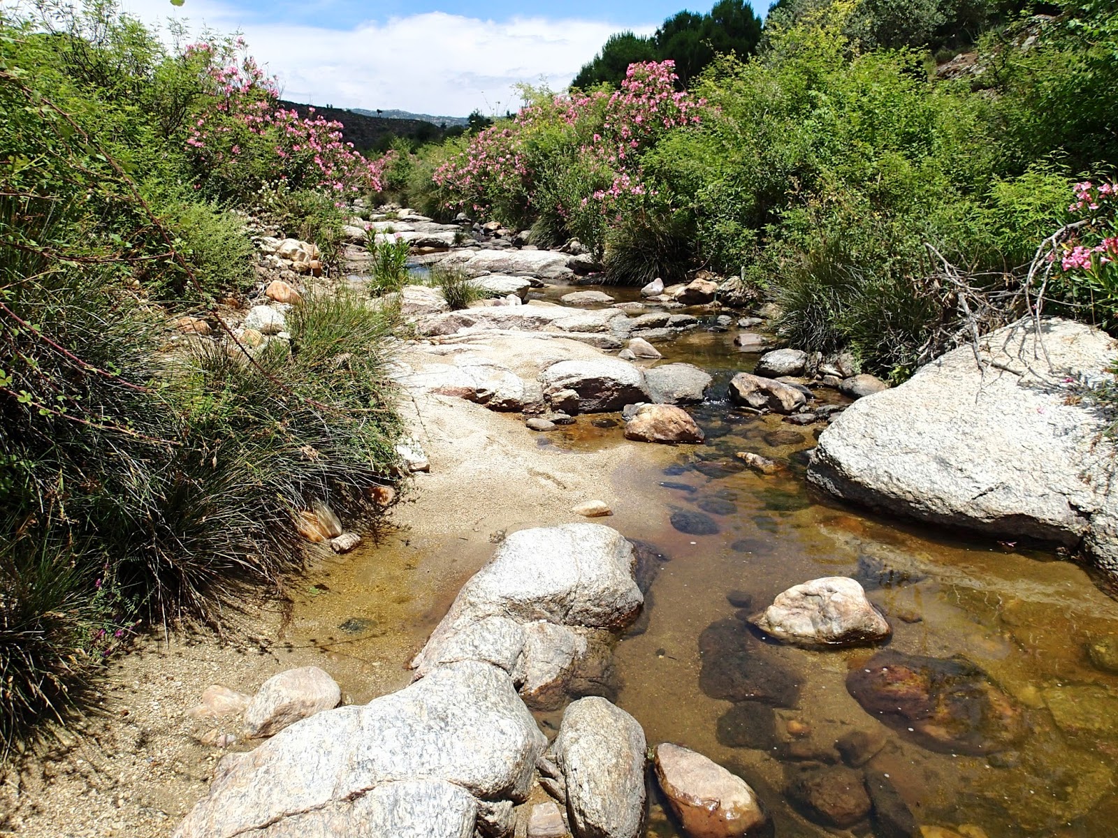Athens Nature Journal: Intermittent vs Perennial streams in the ...