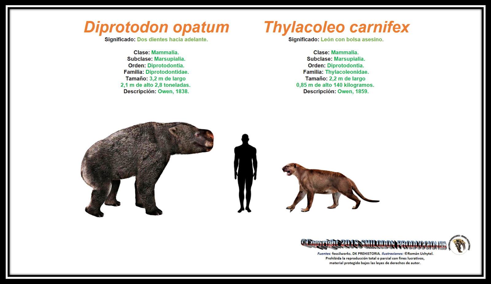 MUNDO PREHISTORICO: Diprotodon
