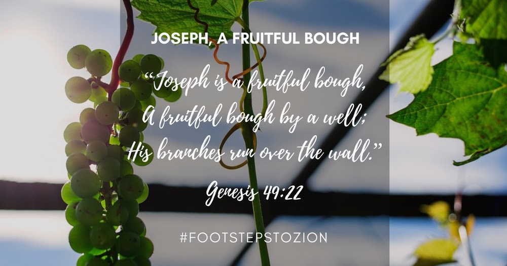 JOSEPH, A FRUITFUL BOUGH