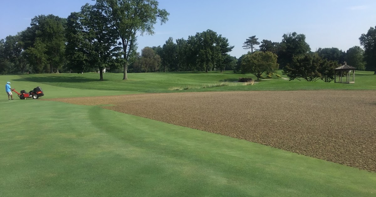 Llanerch Golf Course and External Activities