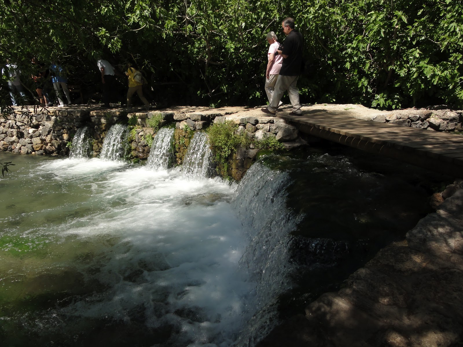 Carol's Corner: Banias Spring