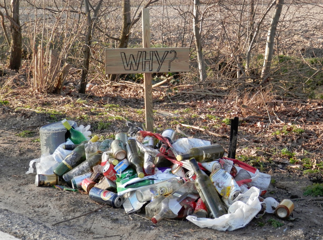 Parkeerplaats langs Provincialeweg naar Kop van 't Land vol met afval