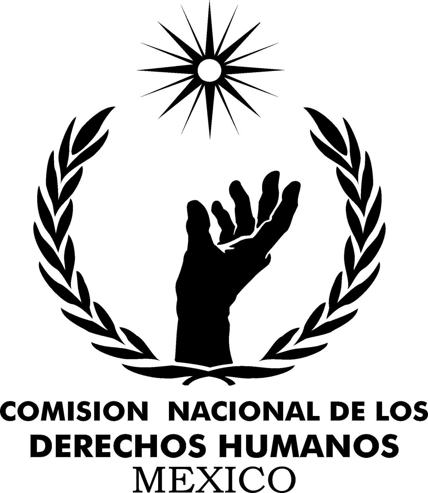 Comisión Nacional de Derechos Humanos: 2013