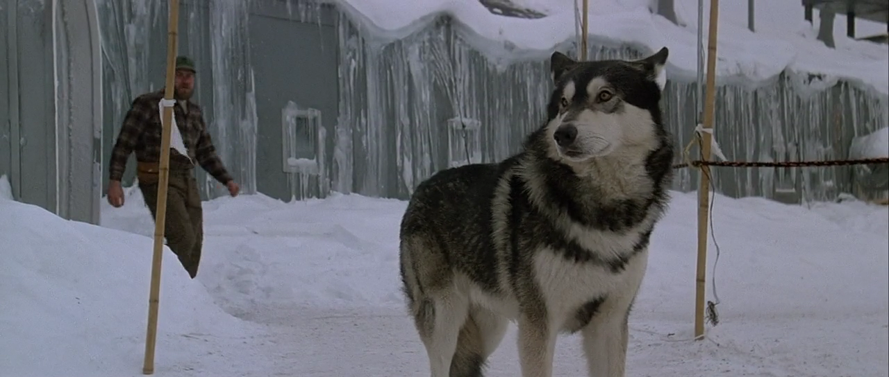 MÁS QUE CINE DE LOS OCHENTA: La Cosa (1982, The Thing) John Carpenter