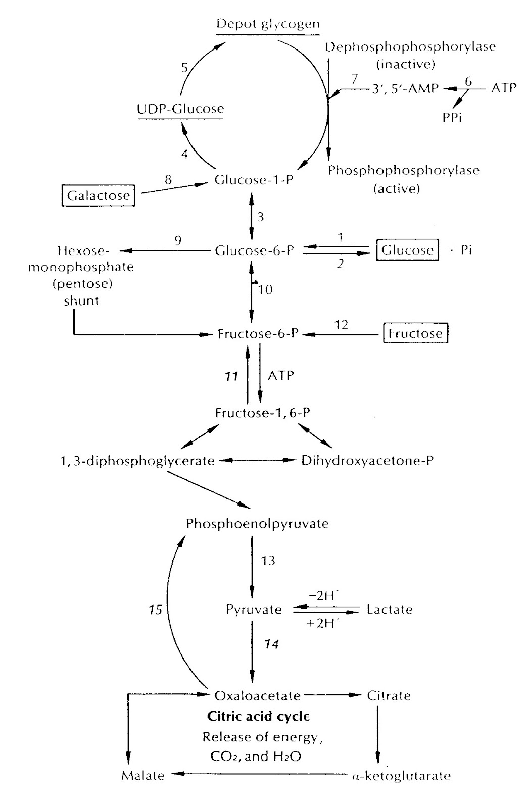MR. BOB BLOG: March 2012