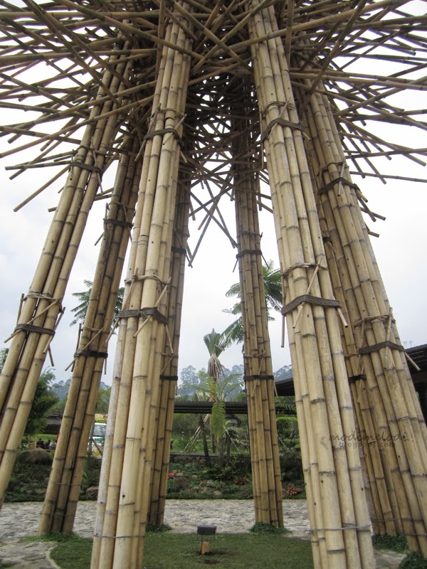 23+ Pengertian Bambu Tutul