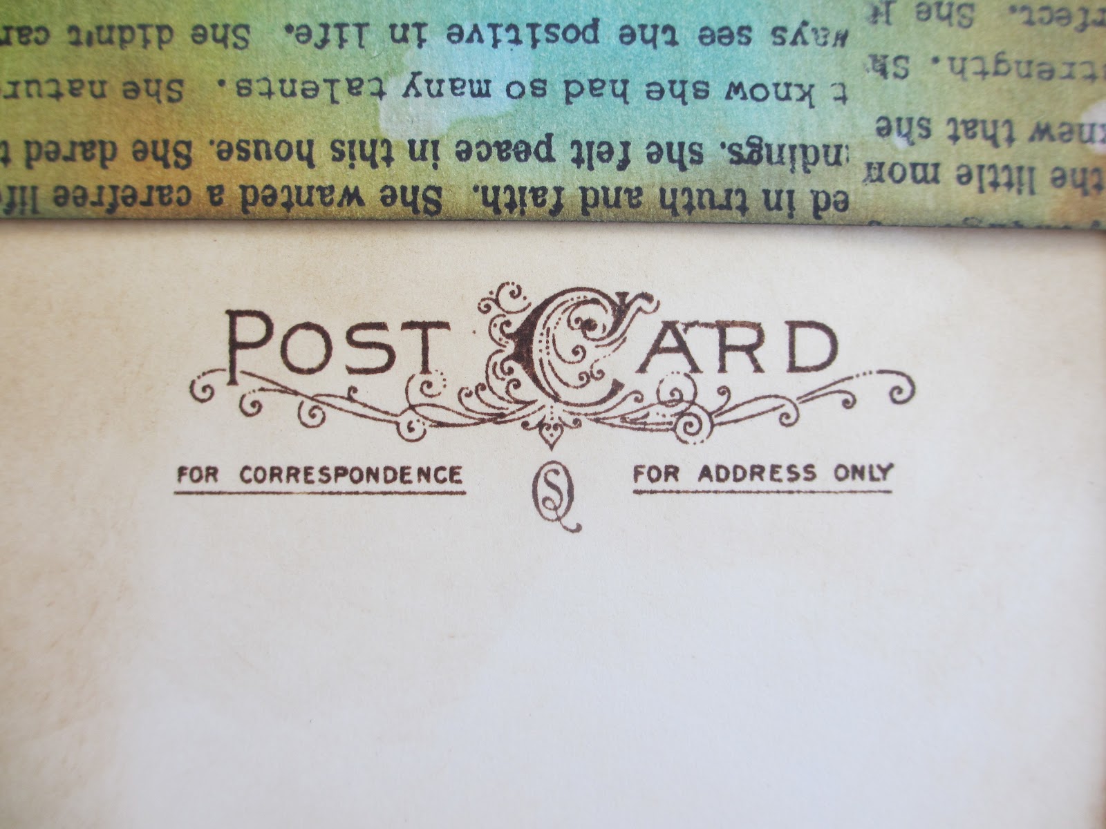 One Lucky Day: Shine