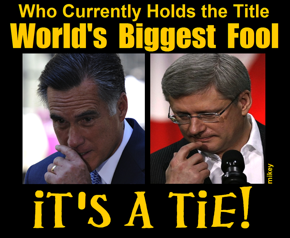 Aunty Harper Graphics by mikey: World's Biggest Fool: It's a Tie!