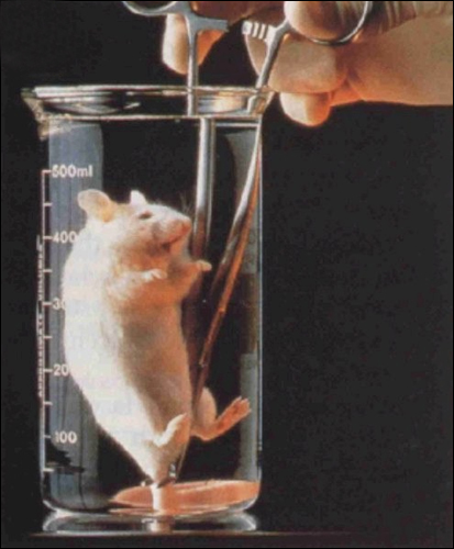 El perfluorocarbono, el líquido donde no se ahoga nadie - Paperblog