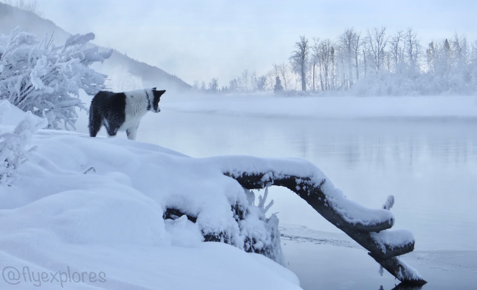 Fly Explores: Eklutna Tailrace