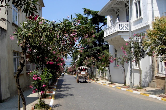 Prince Islands ( Büyükada ) | ISTANBUL'S